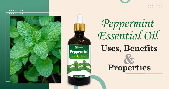 Peppermint Essential Oil Uses, Benefits & Properties